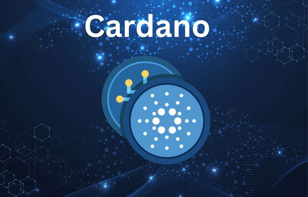 Cardano Network: How do networks work in crypto?